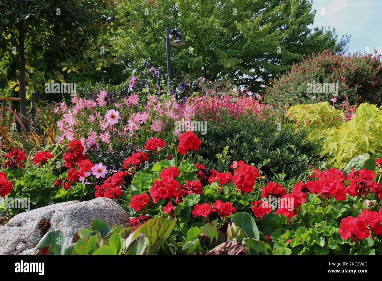 A manircured garden on a sunny day in Seattle, Washington, USA, with ...