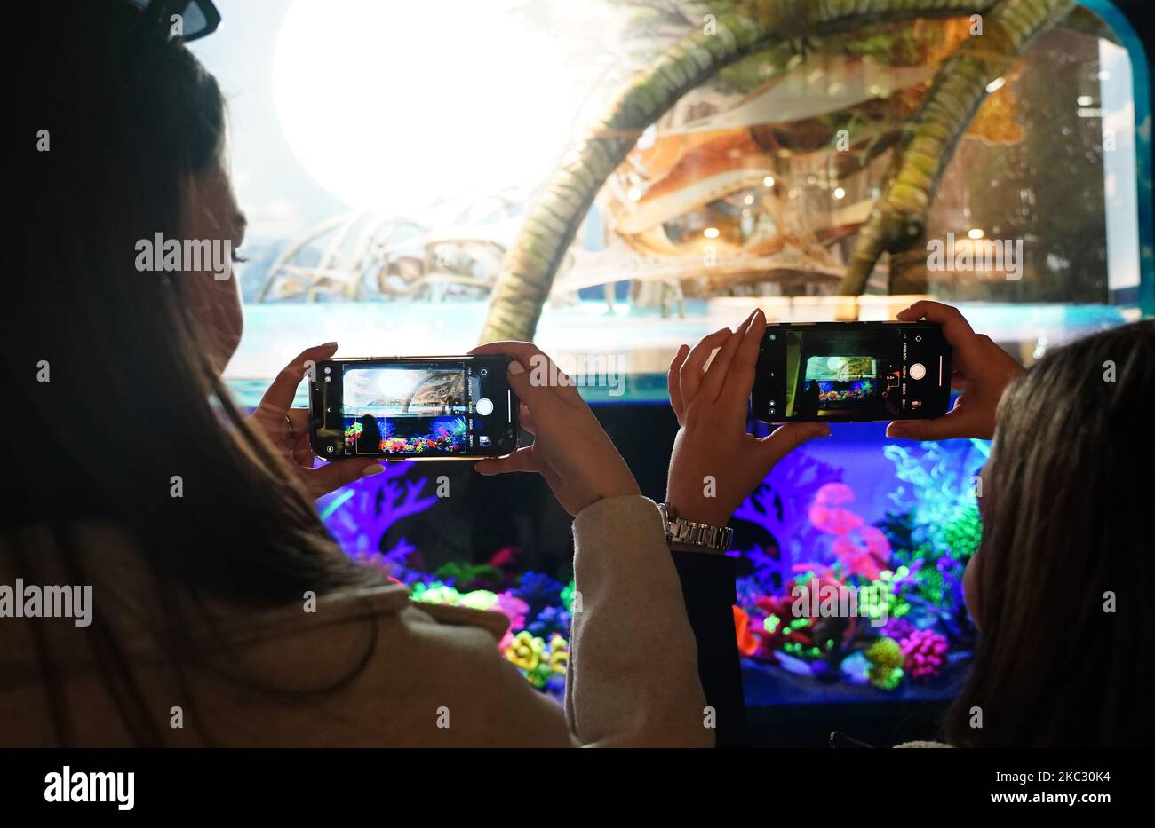 People taking photos at the avatar window, which is one of the Hamleys ...