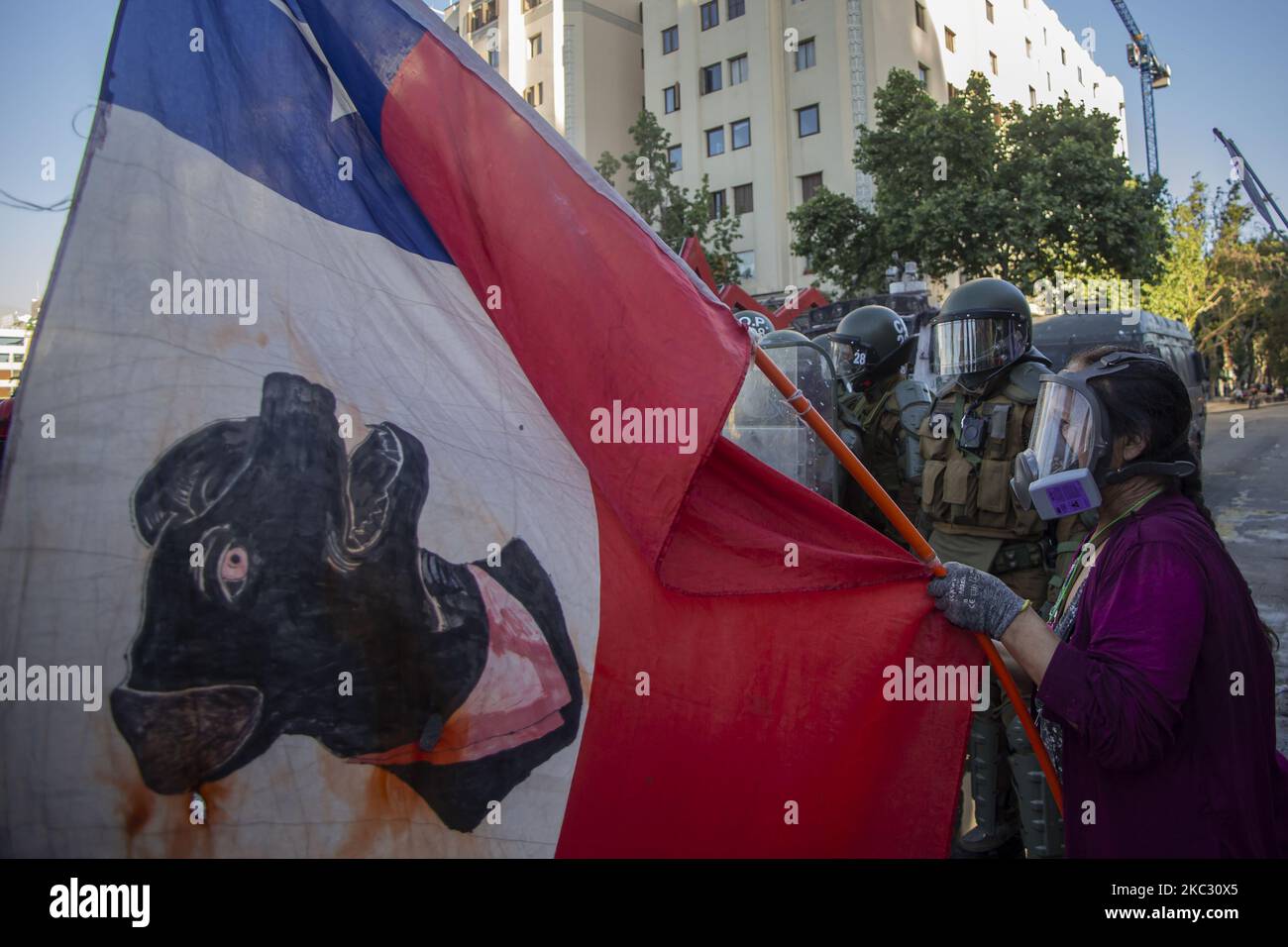 A person holds a Chilean flag, with a drawing of the dog -Negro ...