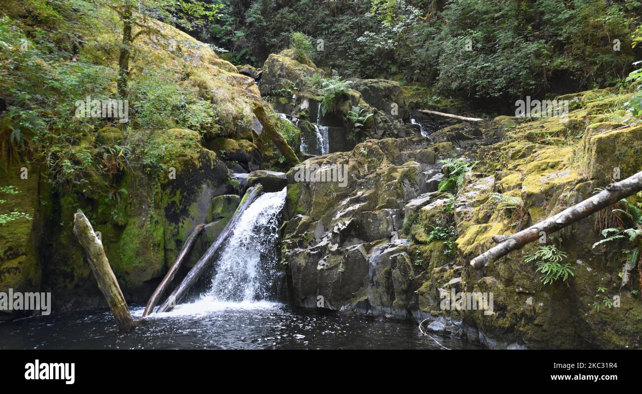 Sweet Creek Falls Waterfall along Hiking Trail Complex near Mapleton ...