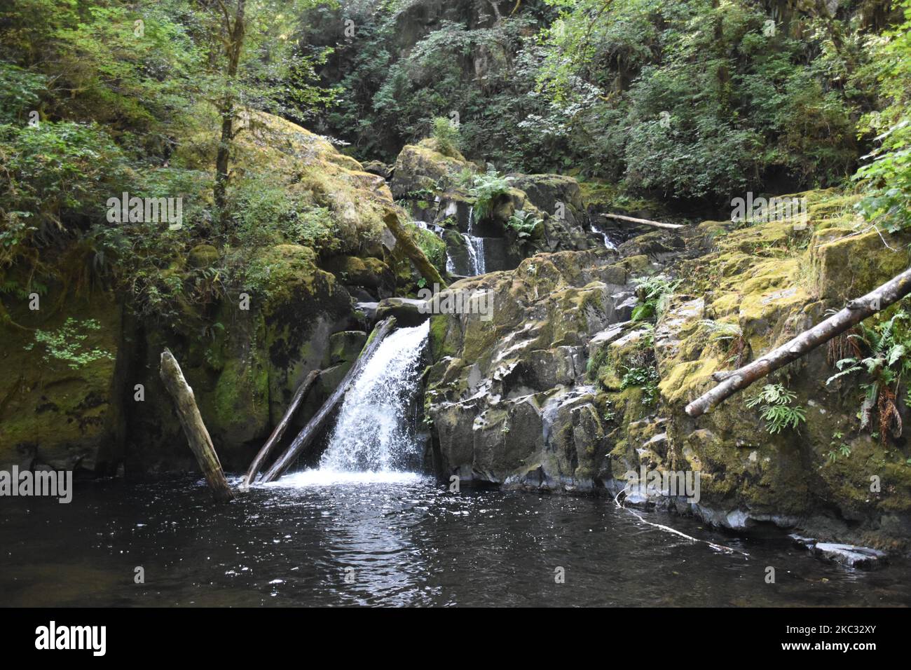 Sweet Creek Falls Waterfall along Hiking Trail Complex near Mapleton ...