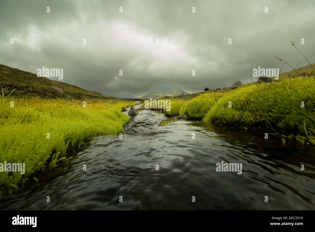 The river surrounded by green vegetation against the background of the ...