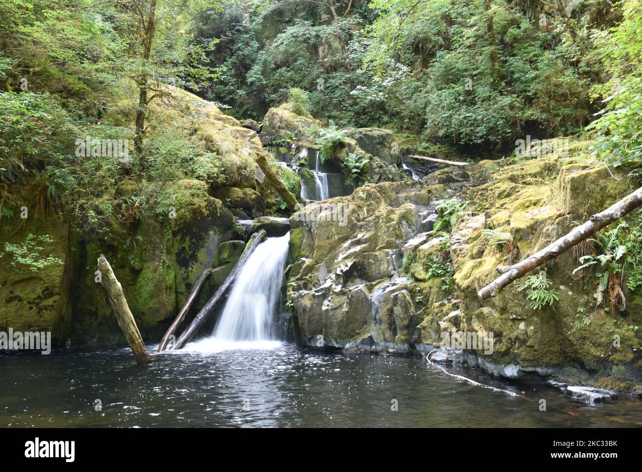 Sweet Creek Falls Waterfall along Hiking Trail Complex near Mapleton ...