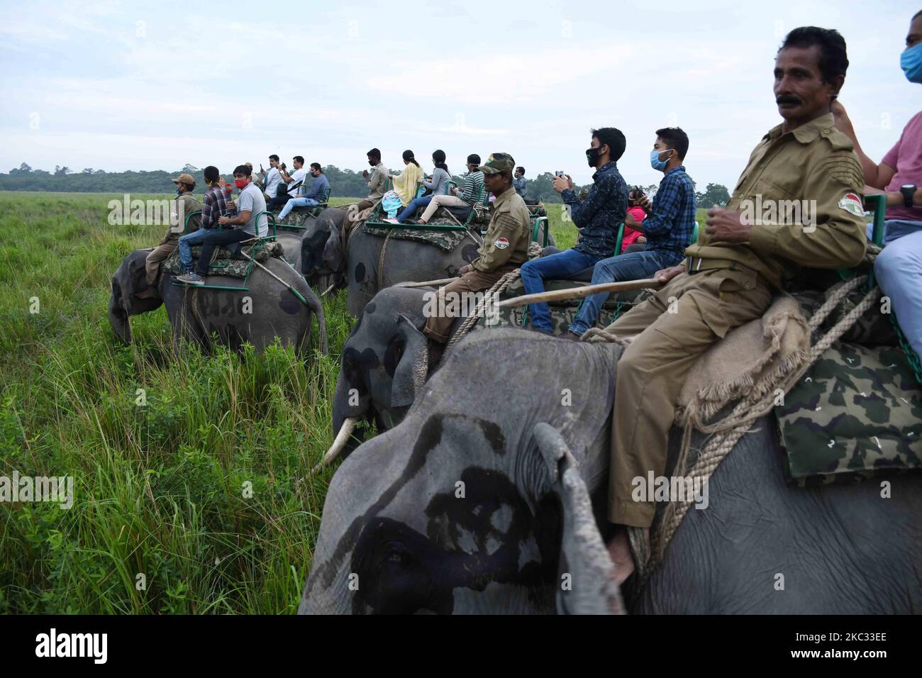 Tourists ride on elephants after the safari restarted following being ...