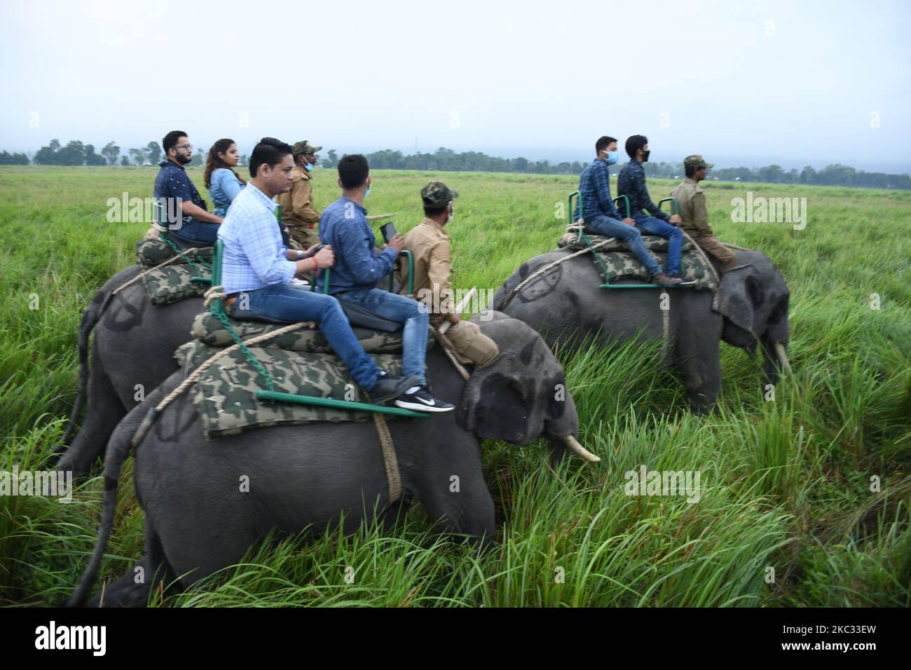 Tourists ride on elephants after the safari restarted following being ...