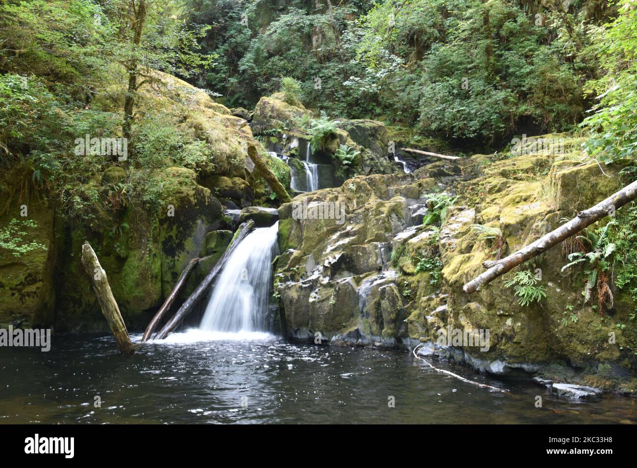 Sweet Creek Falls Waterfall along Hiking Trail Complex near Mapleton ...