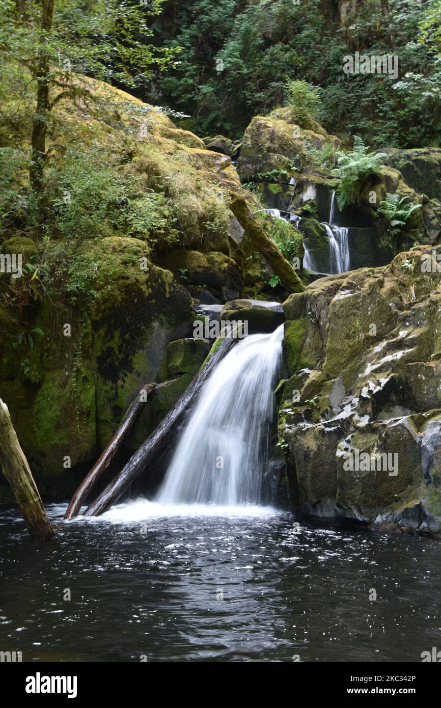 Sweet Creek Falls Waterfall along Hiking Trail Complex near Mapleton ...