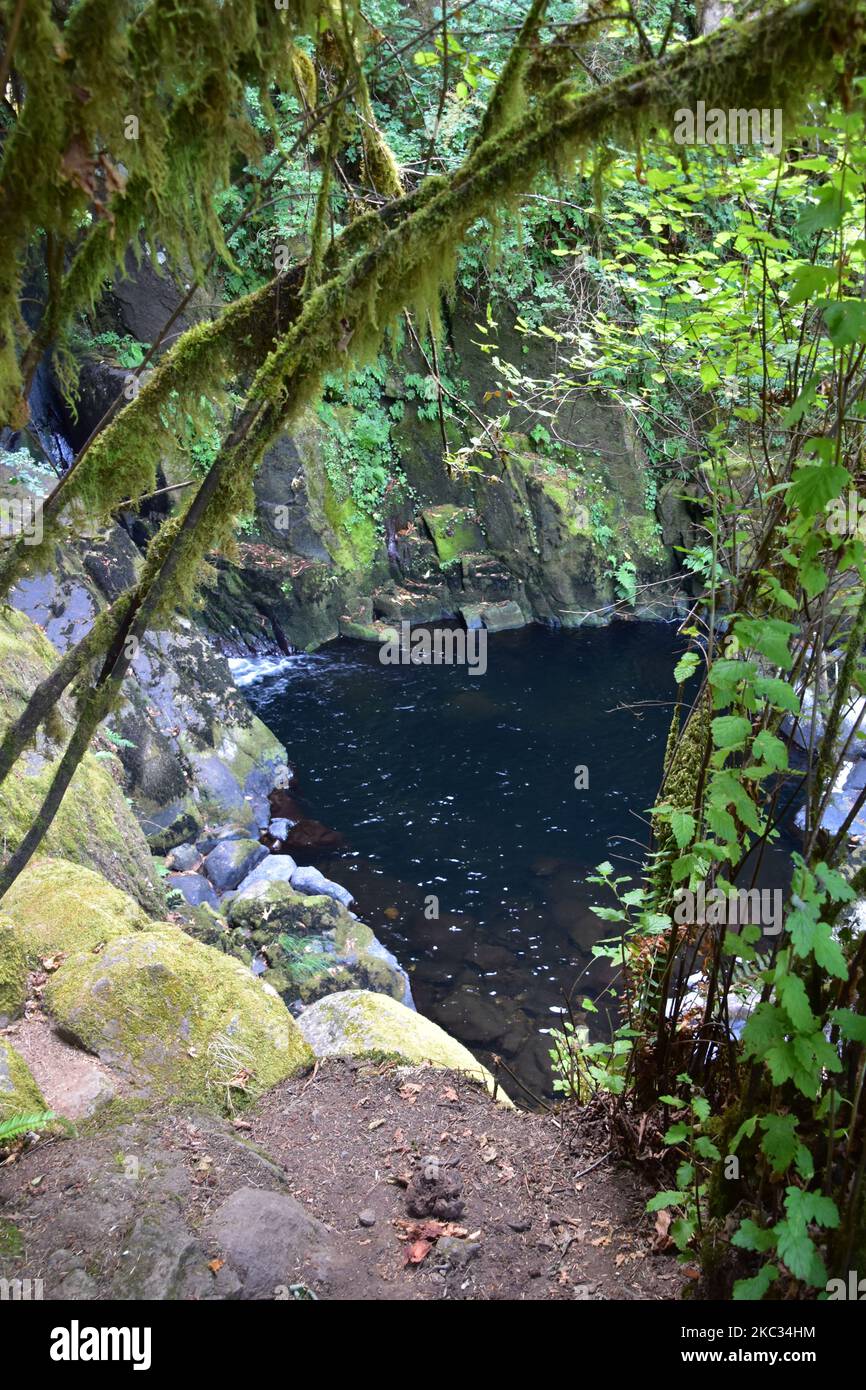Sweet Creek Falls Waterfall along Hiking Trail Complex near Mapleton ...