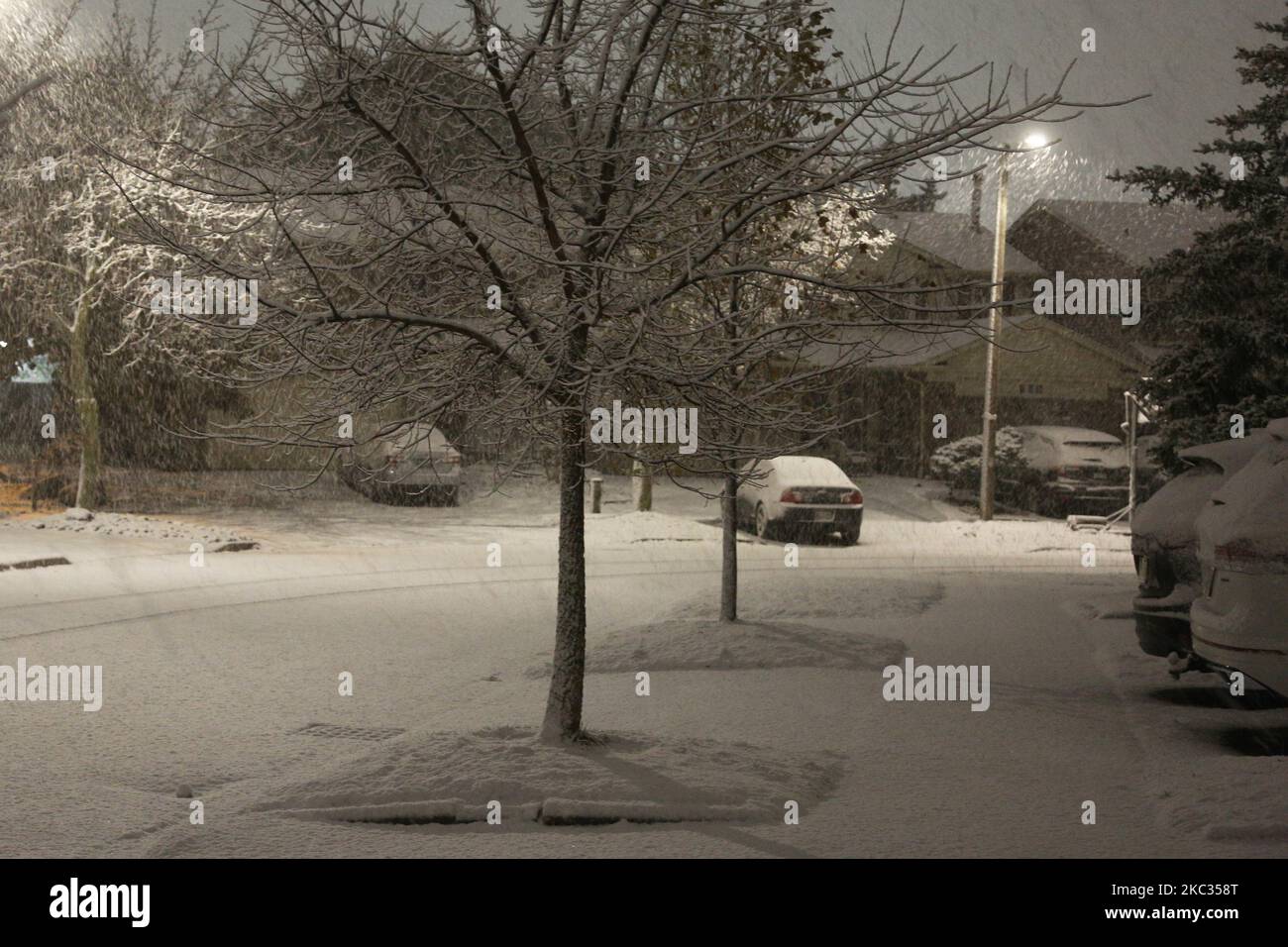 Snowfall 01 hi-res stock photography and images - Alamy