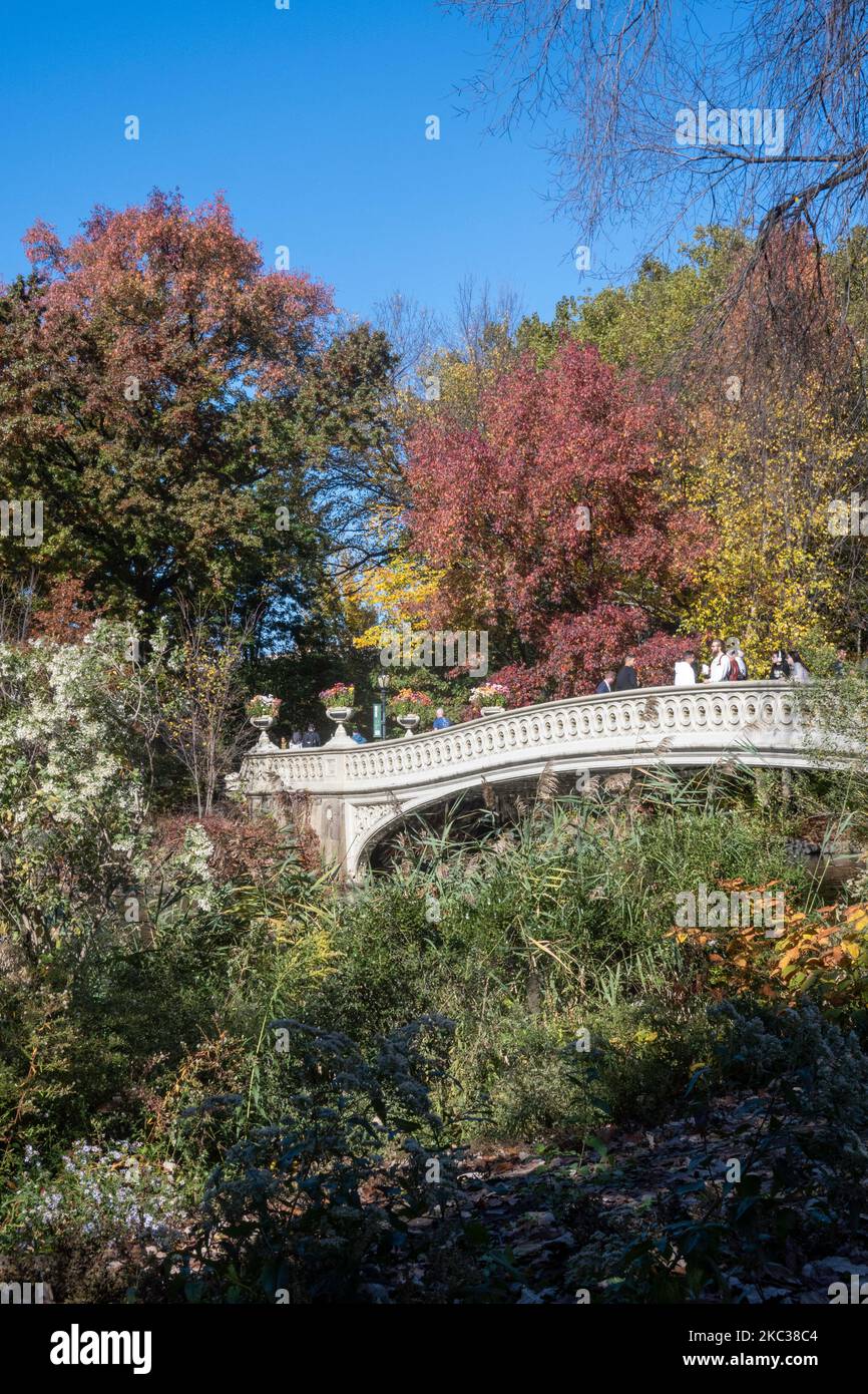 Central Park in New York City showcases beautiful fall foliage around ...