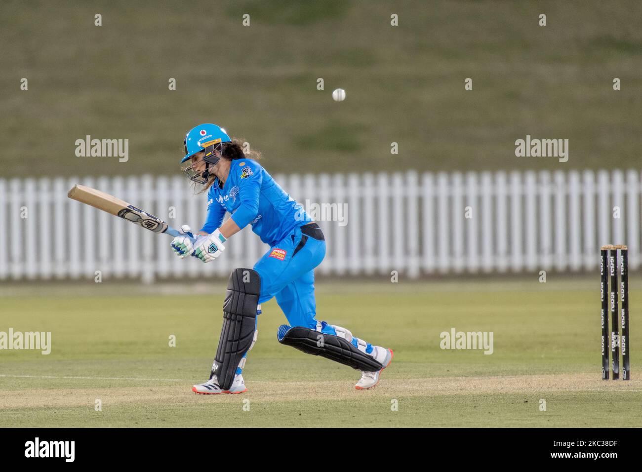 Laura Wolvaardt of the Strikers bats during the Women's Big Bash League ...