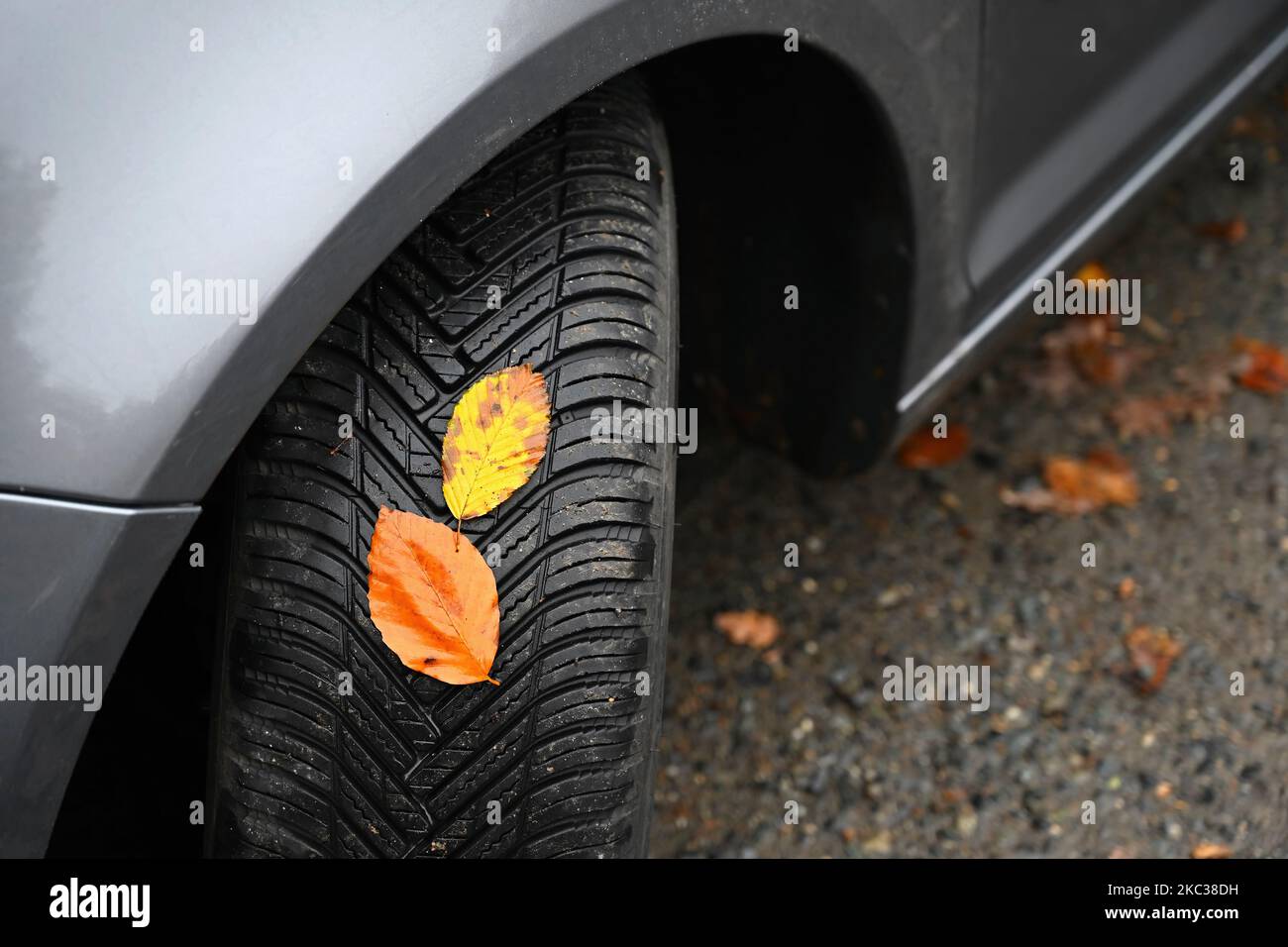 Tires with leaves and car on wet road in autumn season. Foggy and ...