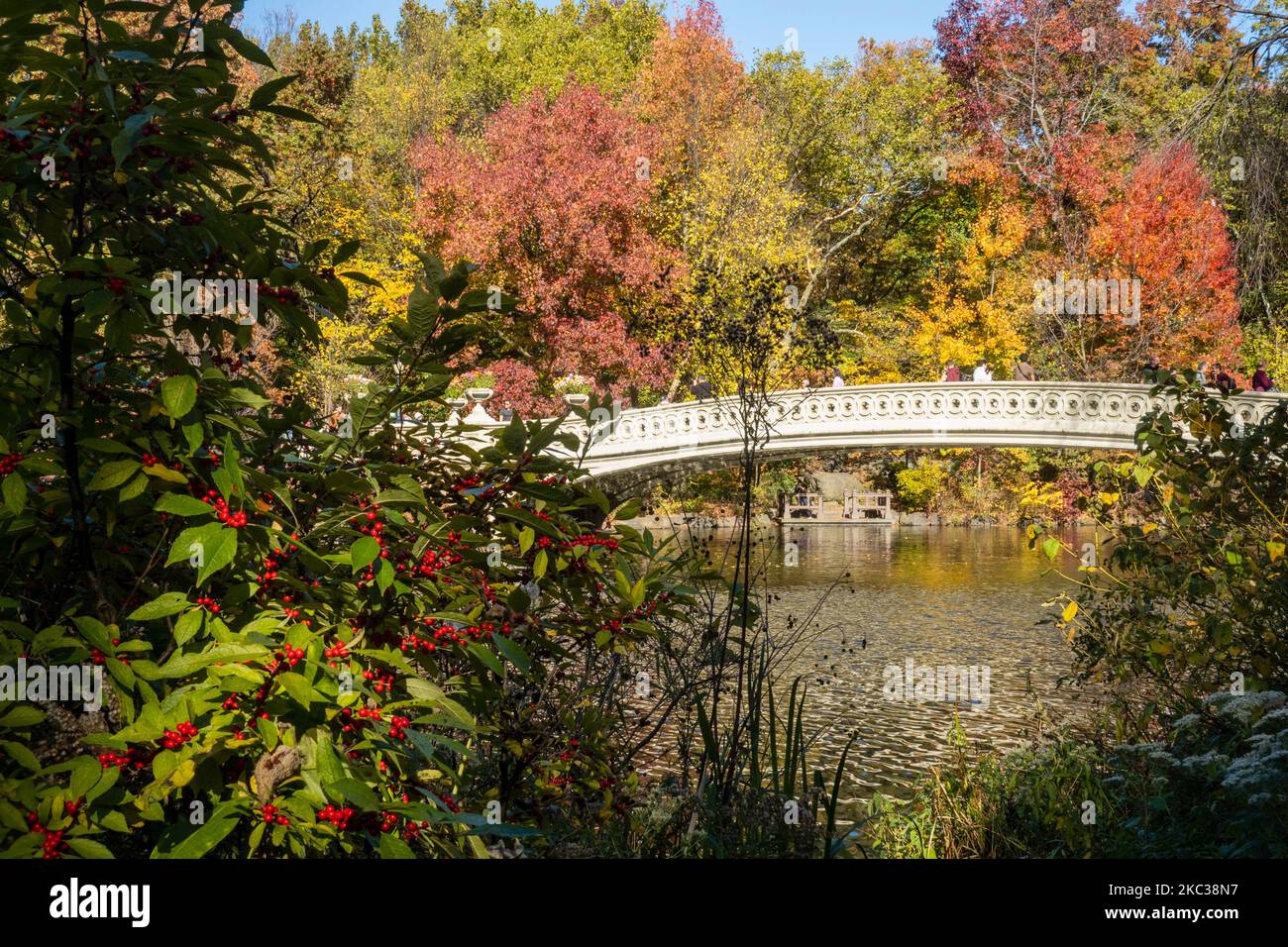 Central Park in New York City showcases beautiful fall foliage around ...