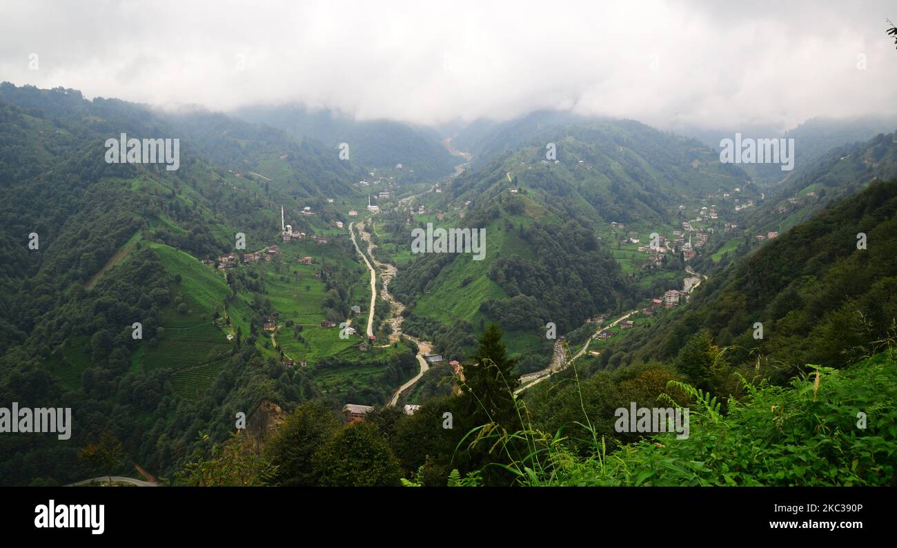Rize photo hi-res stock photography and images - Alamy