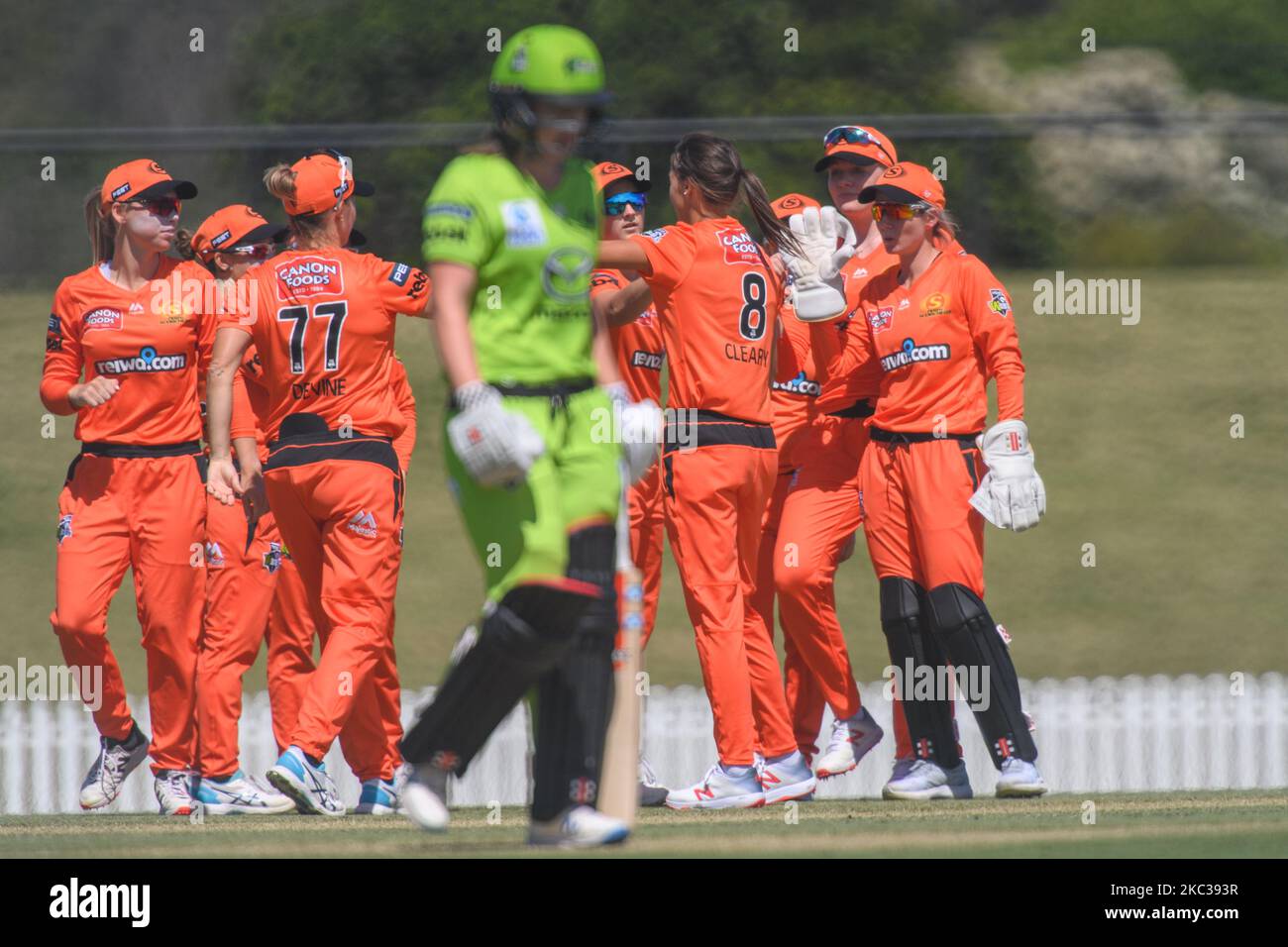 Scorchers team celebrates after taking the wicket of Sammy-Jo Johnson ...