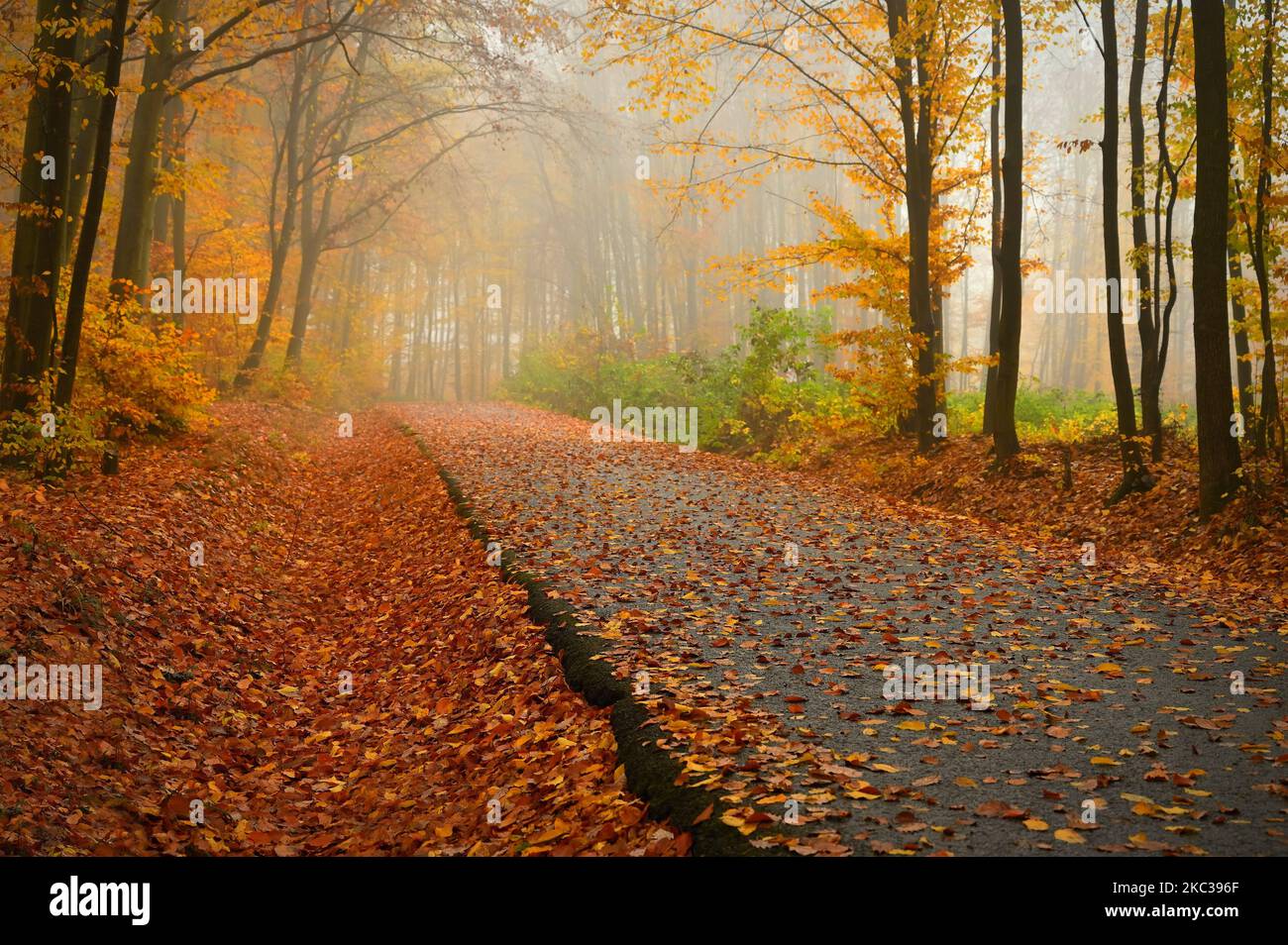 Path in the autumn landscape. Beautiful natural colorful background ...