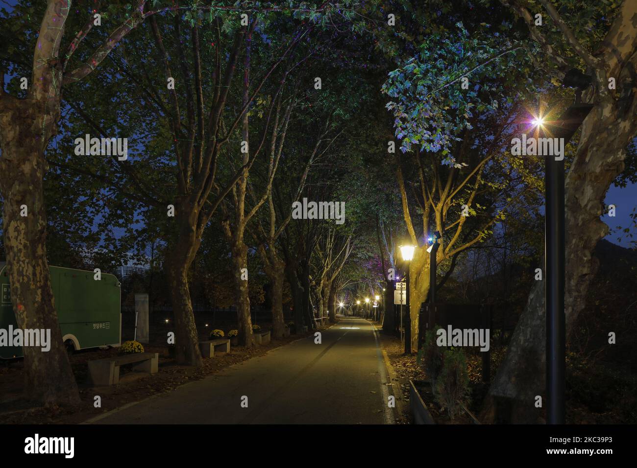 Muke trees hi-res stock photography and images - Alamy