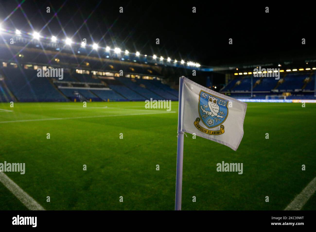 Hillsborough sheffield wednesday flag hi-res stock photography and ...