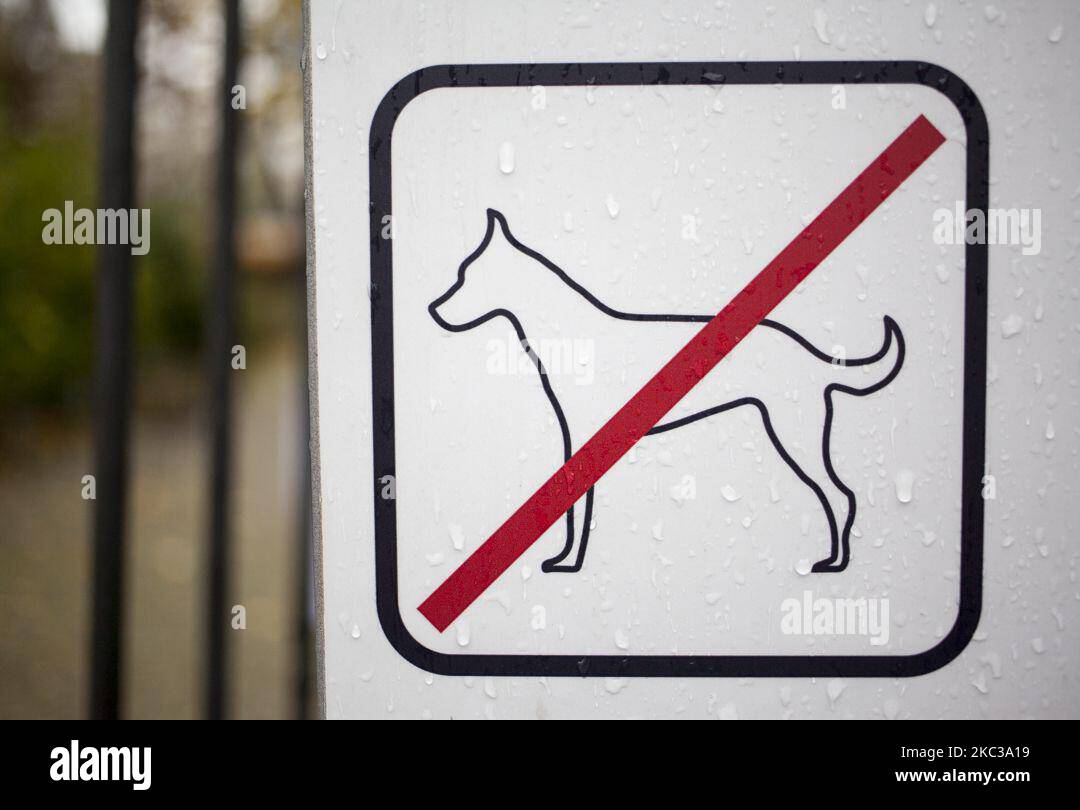 No dogs allowed icon seen in Warsaw on November 4 2020. (Photo by ...