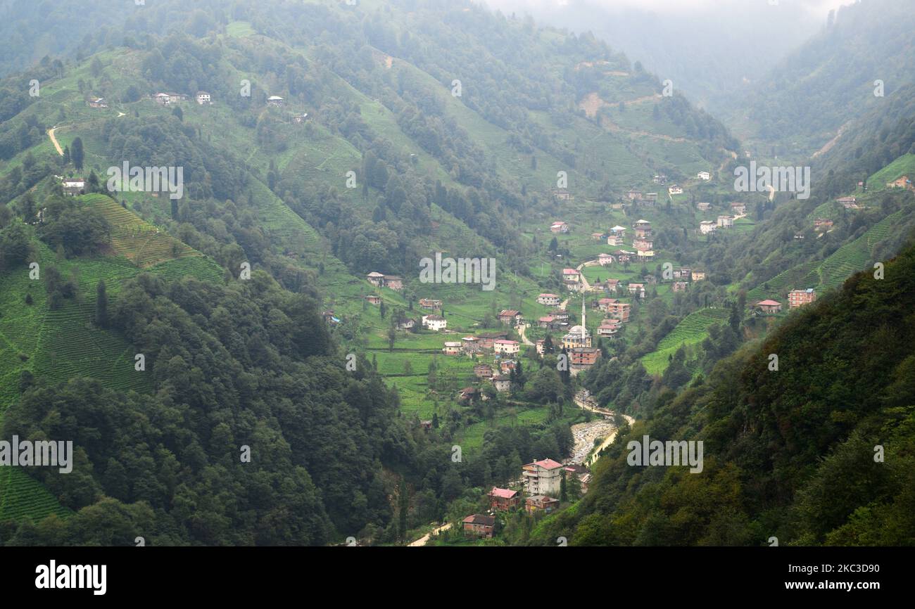 Rize photo hi-res stock photography and images - Alamy