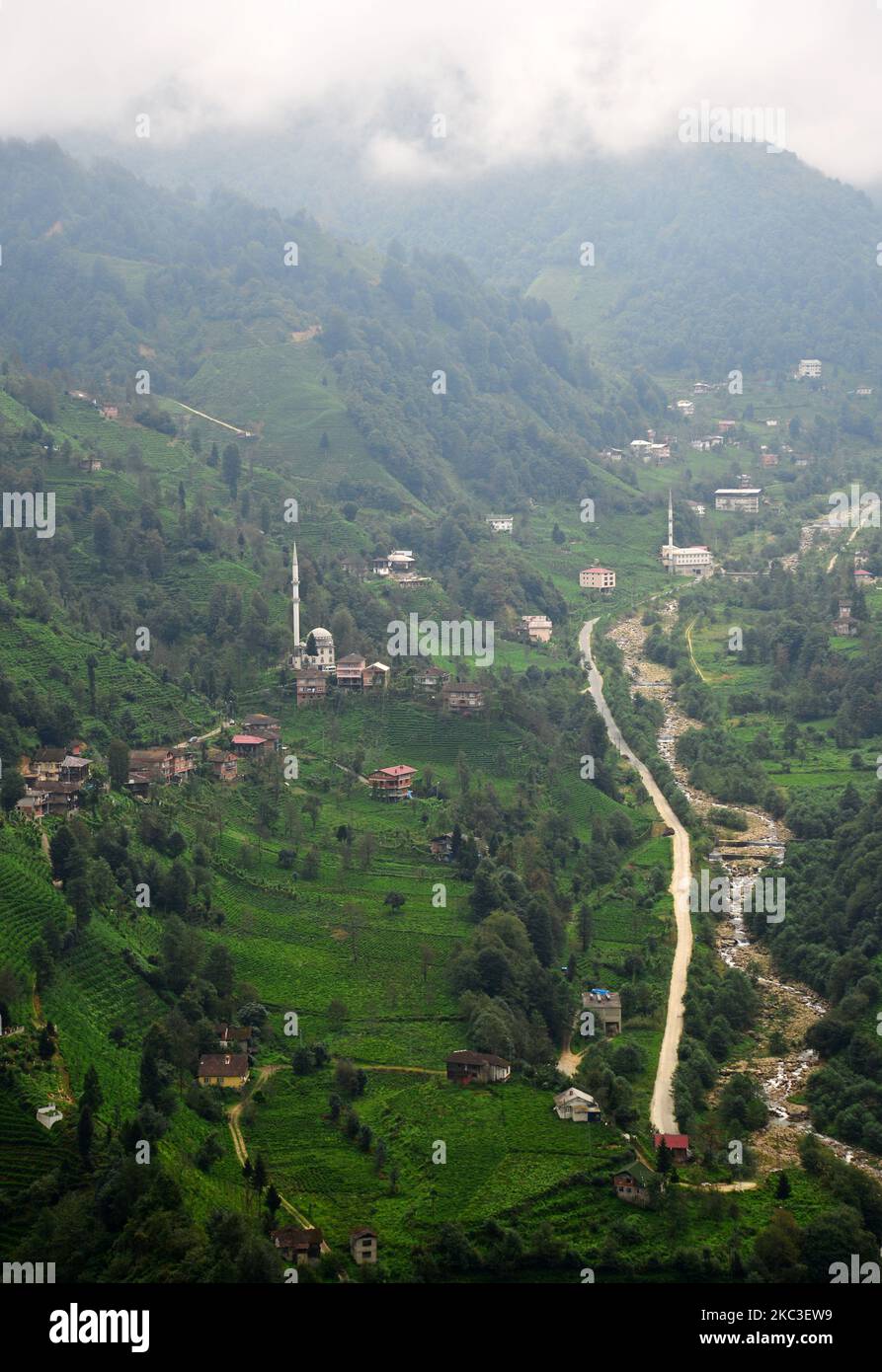 Rize photo hi-res stock photography and images - Alamy