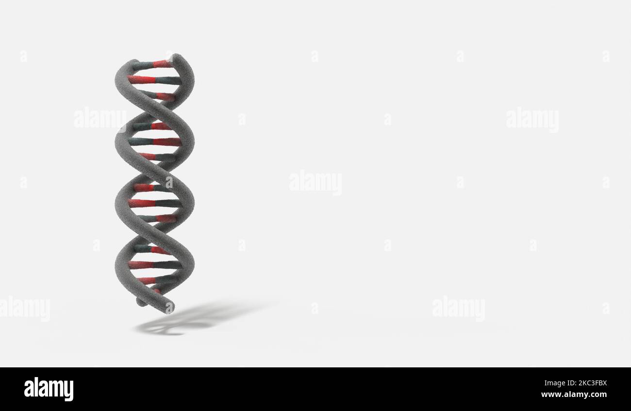 dna double helix on white background - 3d rendering Stock Photo - Alamy