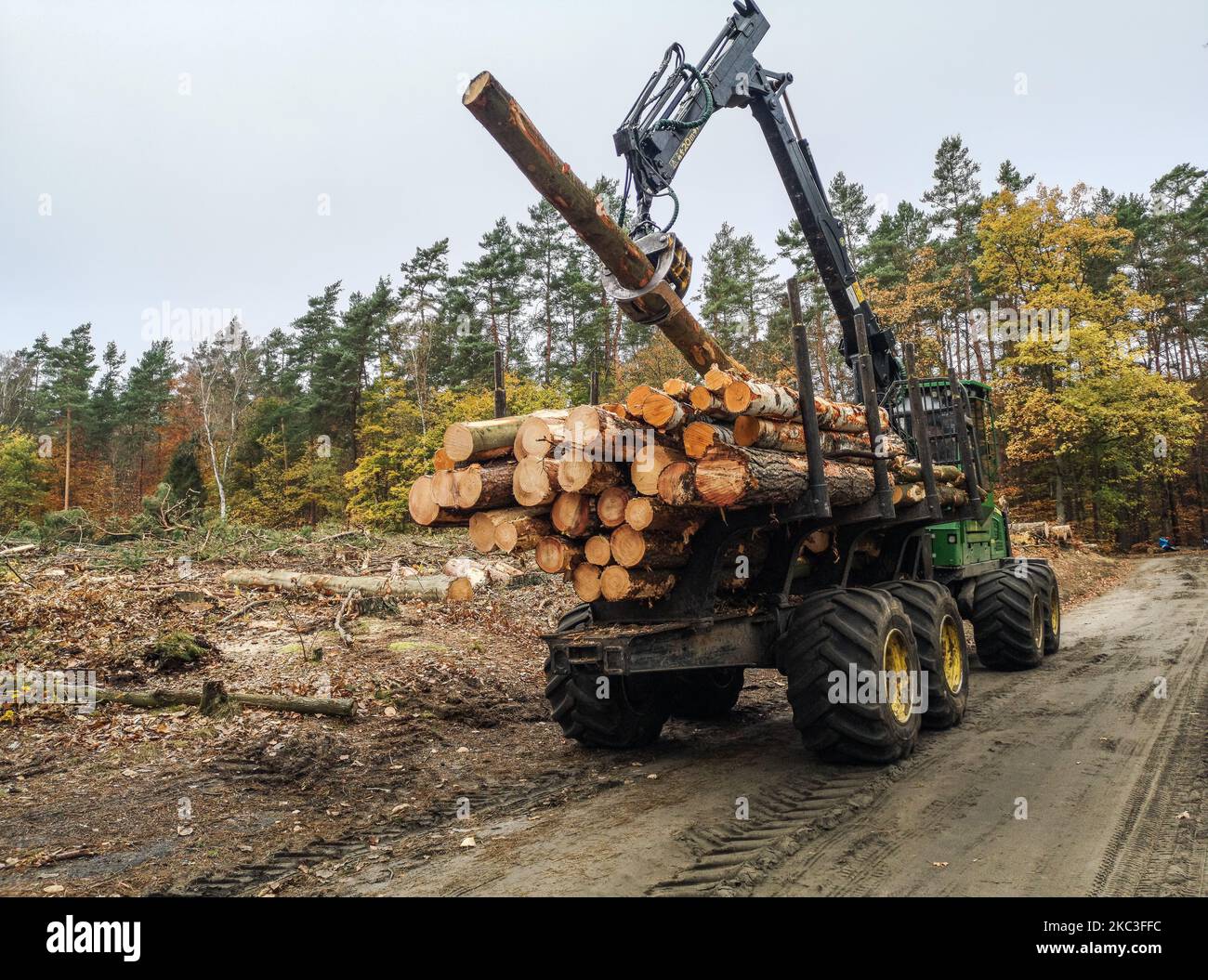 Mass forest clearance carried out with John Deere forwarder - a ...