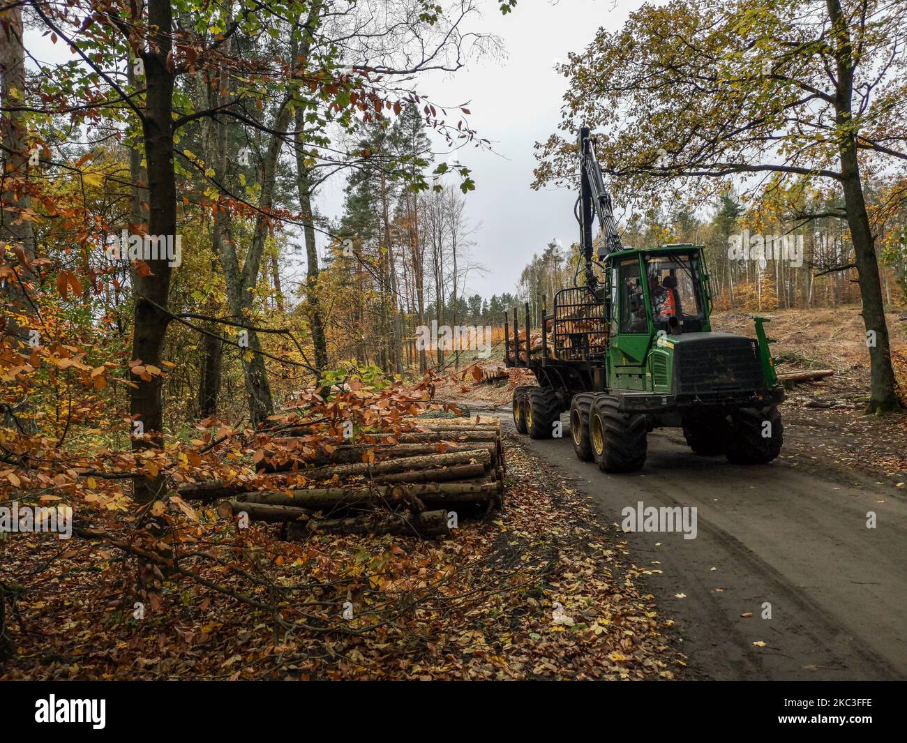 Deforestacja hi-res stock photography and images - Alamy
