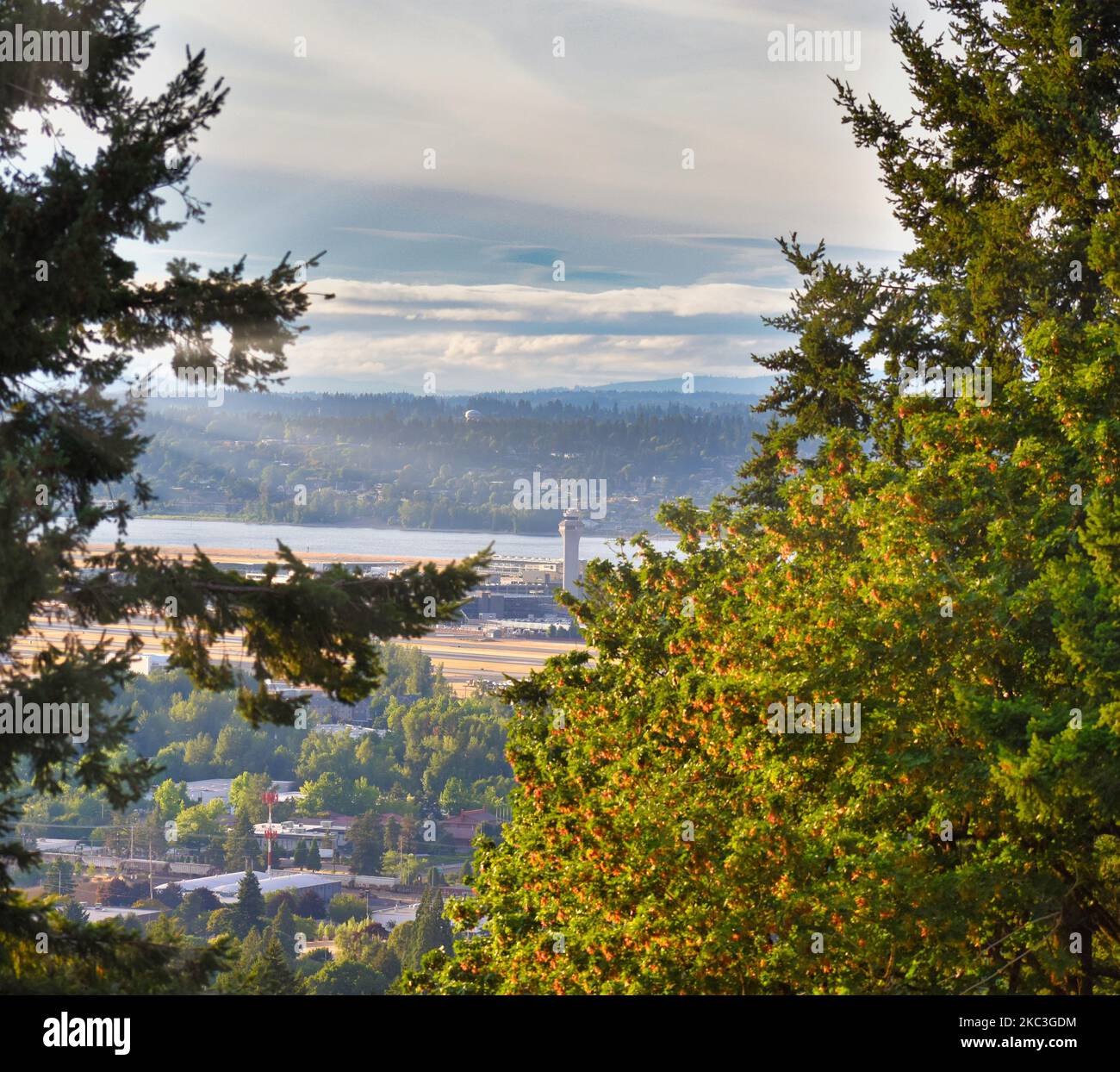 A top view of the beautiful Hendricks park in Eugene, Oregon in the ...