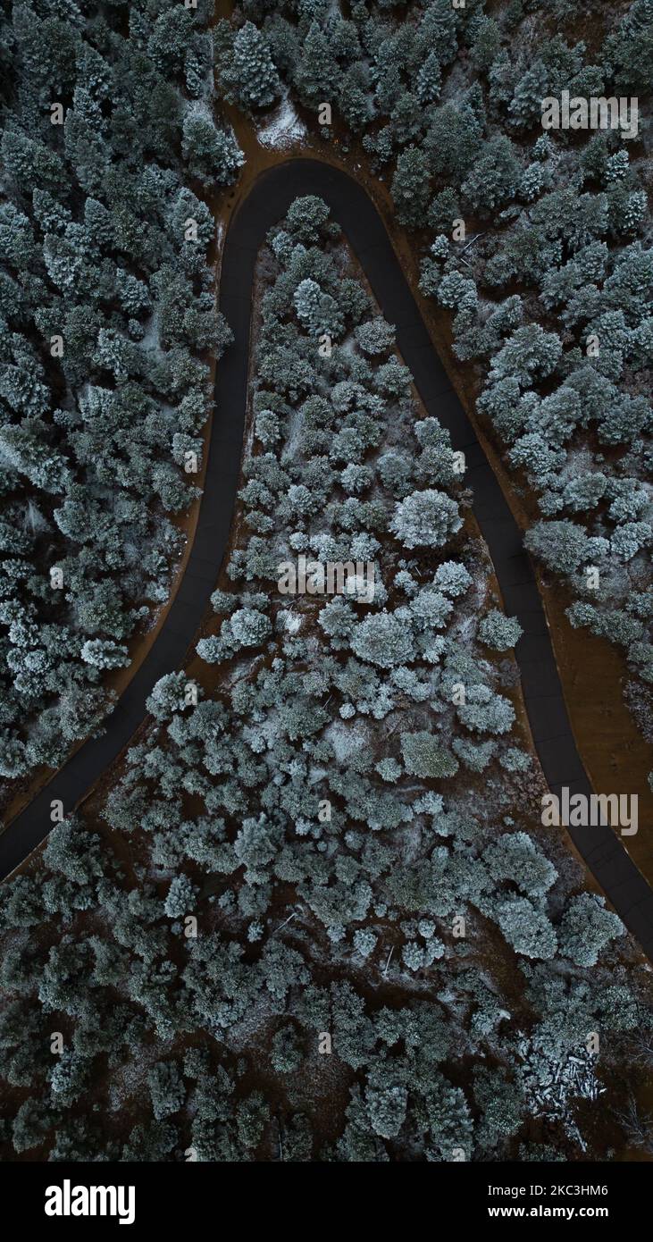 An aerial vertical shot of snowy moody forest Stock Photo - Alamy