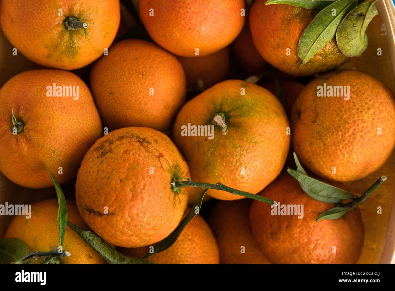 A top view closeup of orange tangerines Stock Photo - Alamy