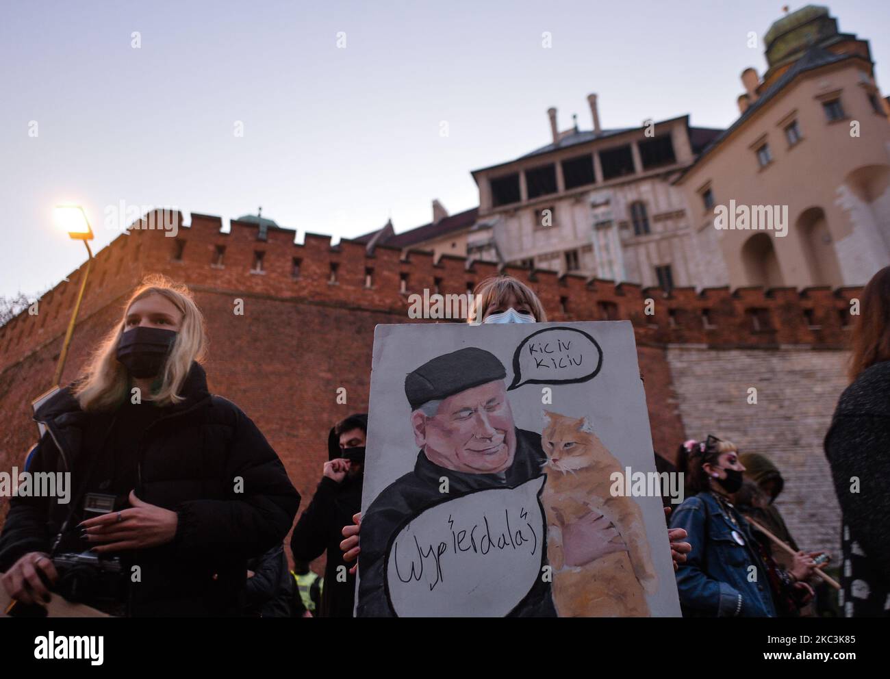 Jaroslaw kaczynski cat hi-res stock photography and images - Alamy