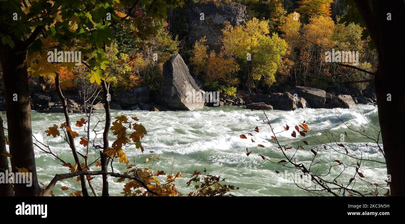 A beautiful view of the Niagara River Gorge surrounded by forest in ...
