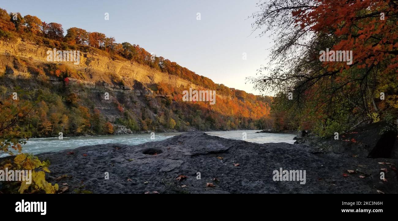 A beautiful view of the Niagara River Gorge surrounded by forest in ...