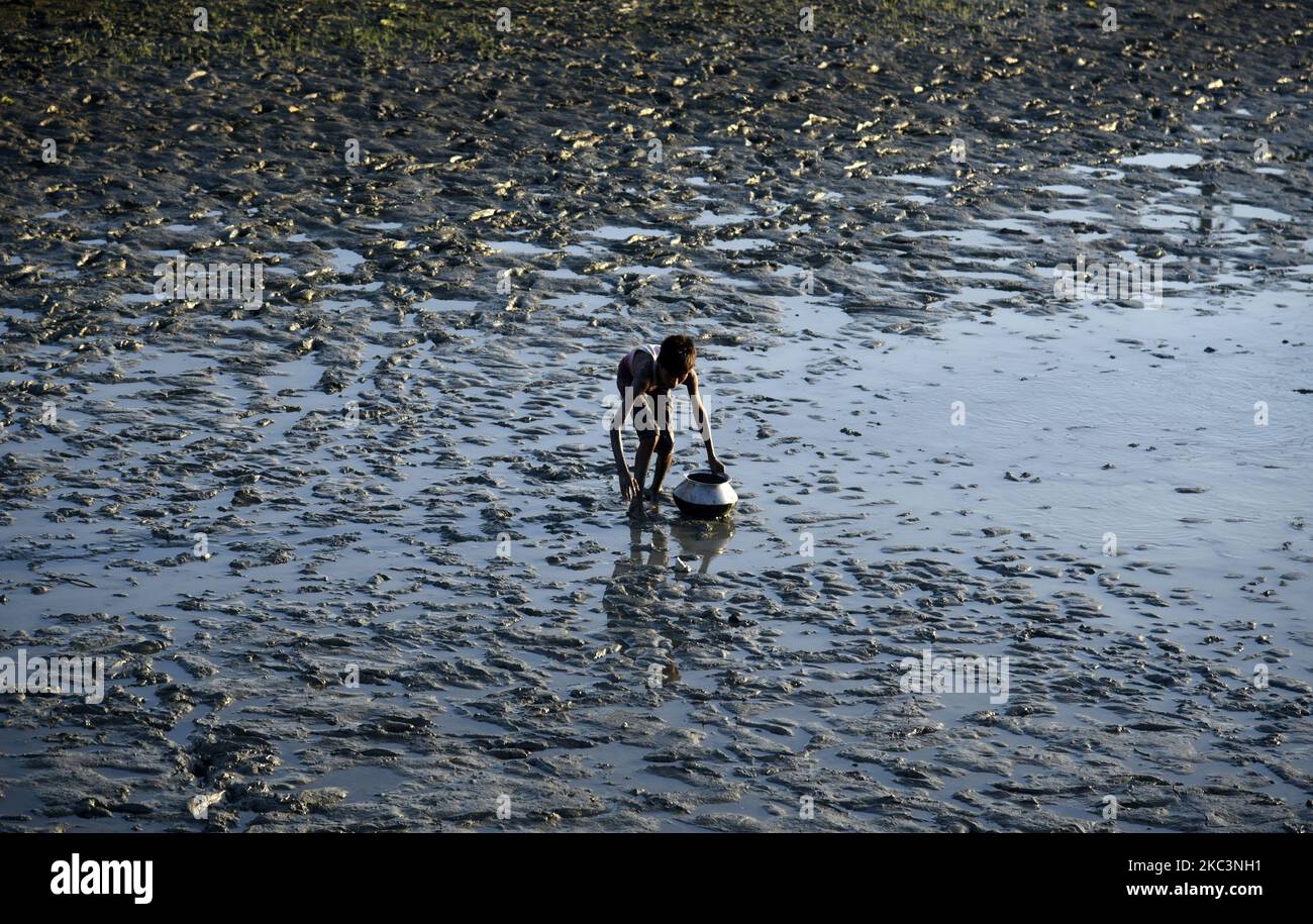 A boy catching fish in mud water in a paddy field, in Barpeta district ...