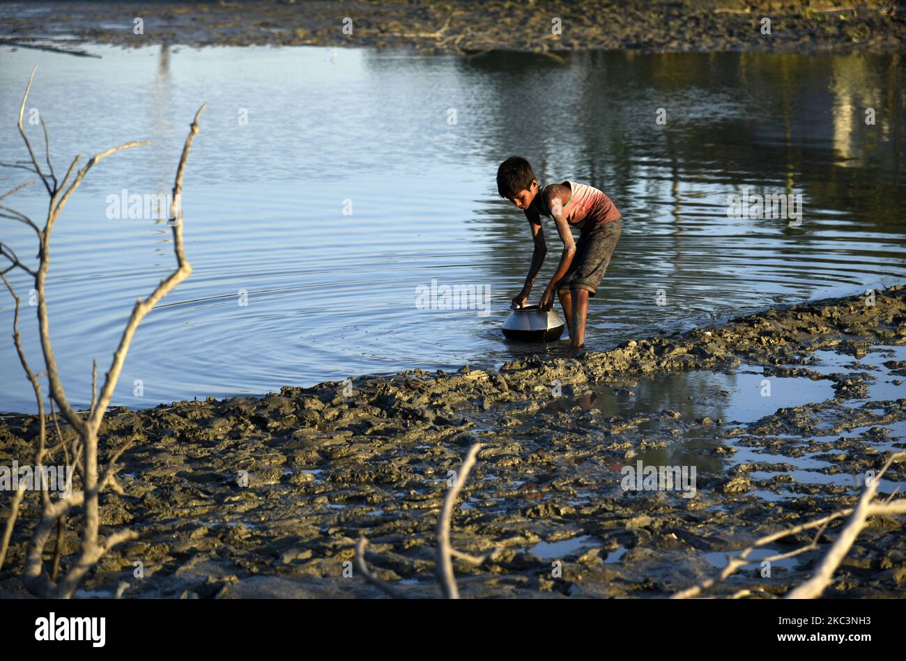 A boy catching fish in mud water in a paddy field, in Barpeta district ...