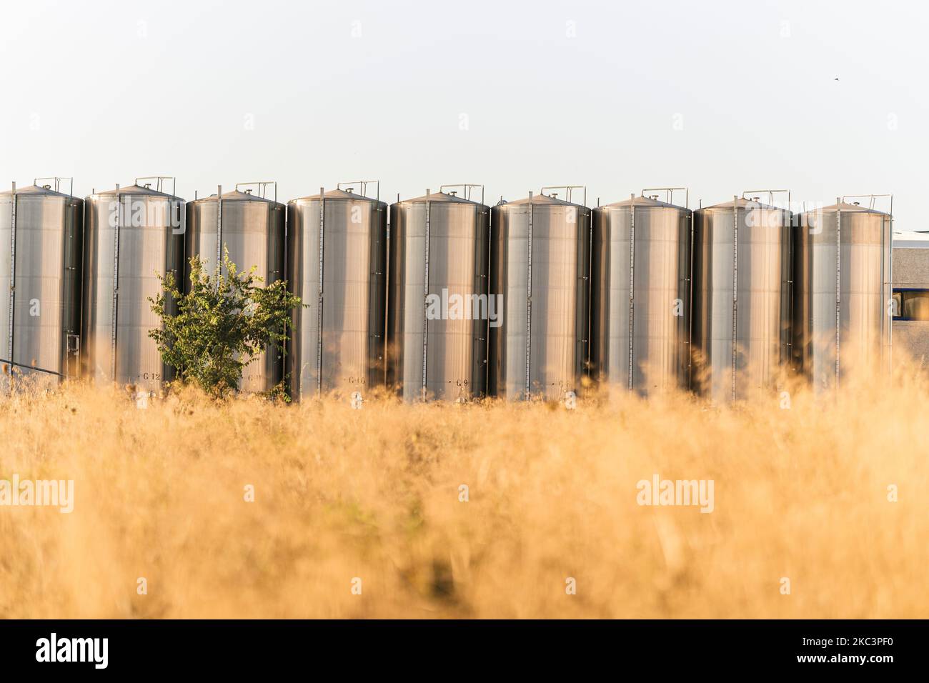 The view of metallic industrial storage tanks in a row under the blue ...