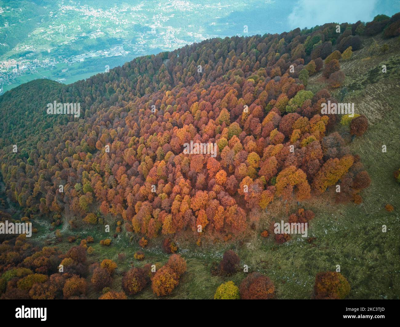 An aerial of Monte Galbiga mountain of Lombardy covered in autumn ...