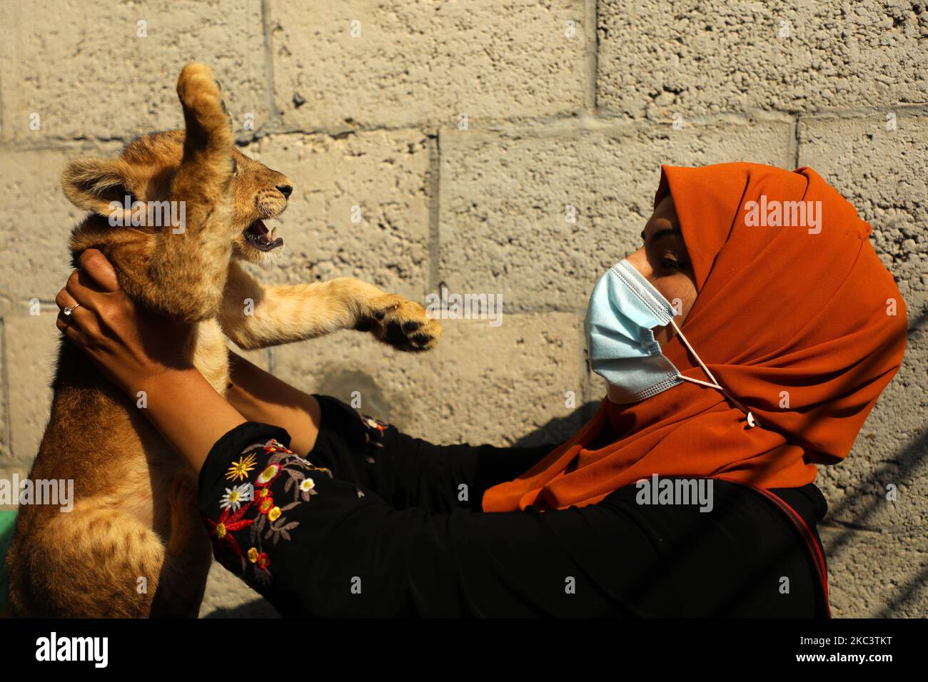 A Photojournalist plays with a lion cub on the rooftop of the house of ...
