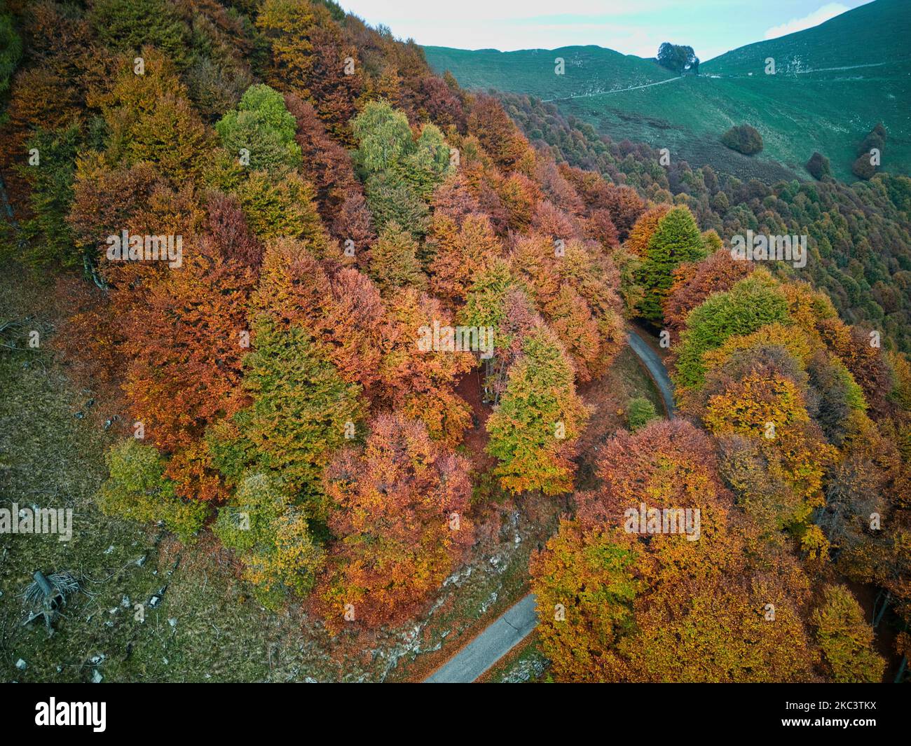 An aerial of the colorful autumn trees on Monte Galbiga mountain of ...