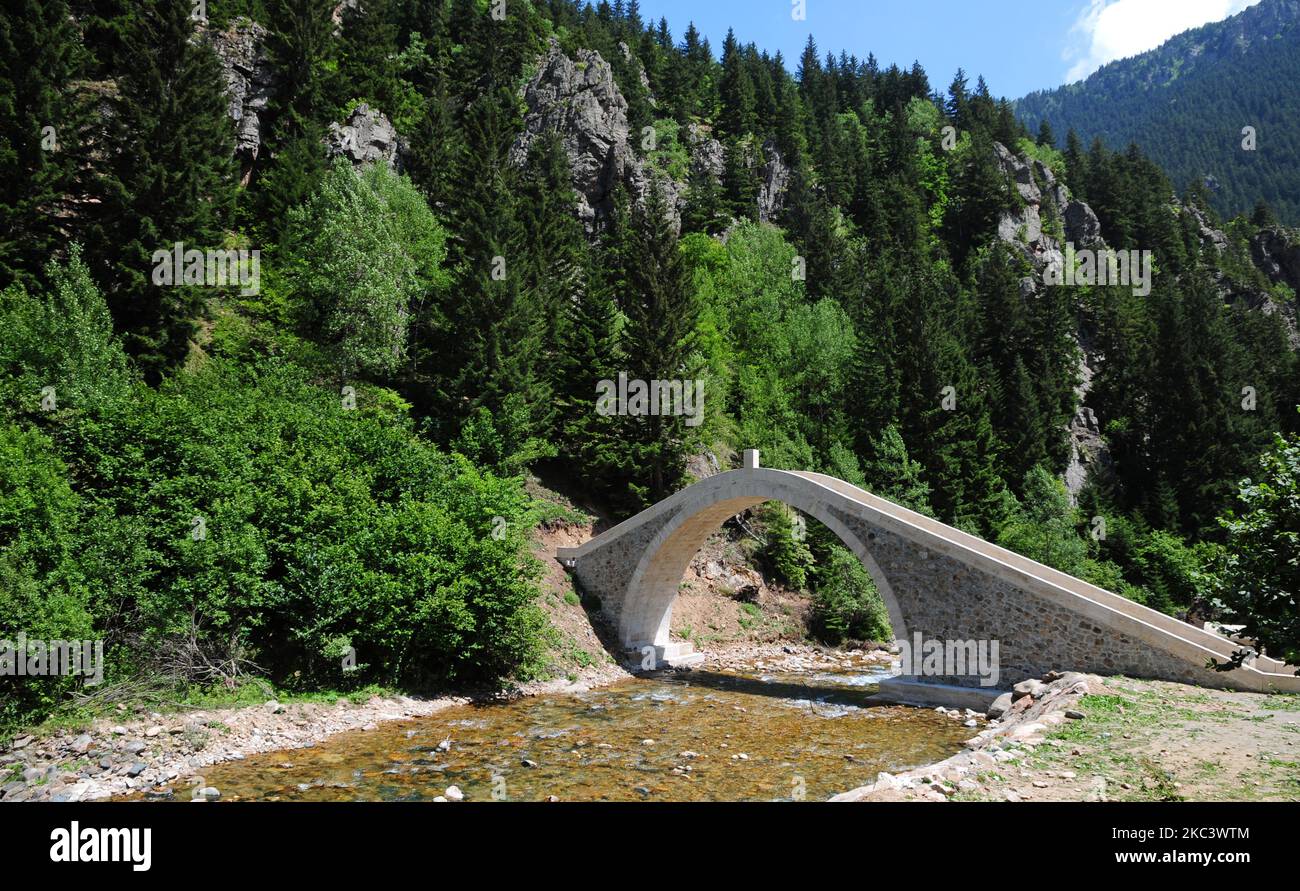 Diktas Bridge, located in Rize, Turkey, was built in the 19th century ...