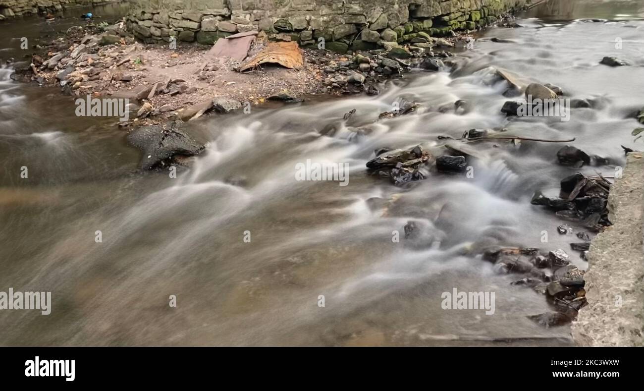 A view of a river streaming through the forests Stock Photo - Alamy