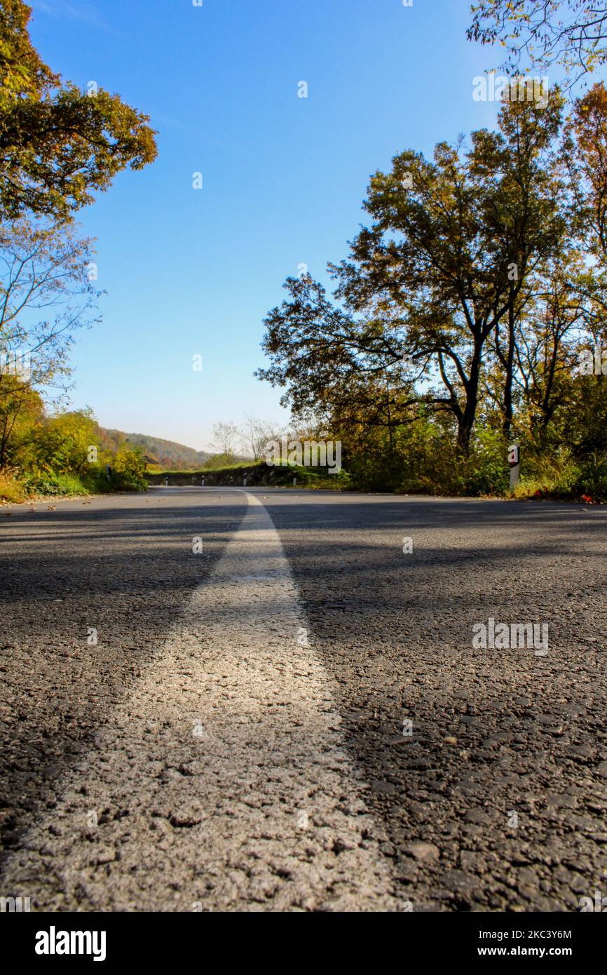 A vertical ground level shot of an asphalt road surrounded by green ...