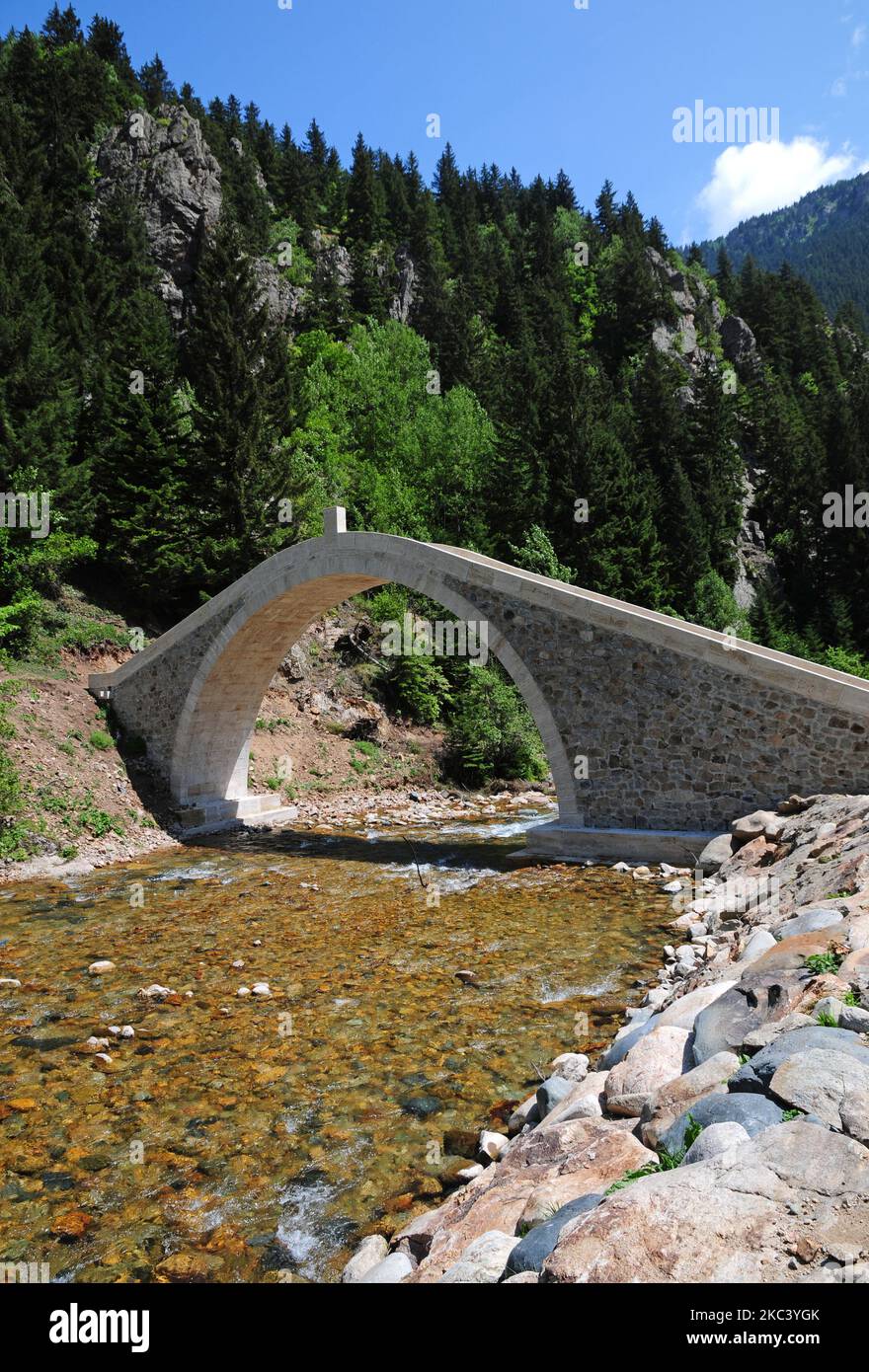 Diktas Bridge, located in Rize, Turkey, was built in the 19th century ...