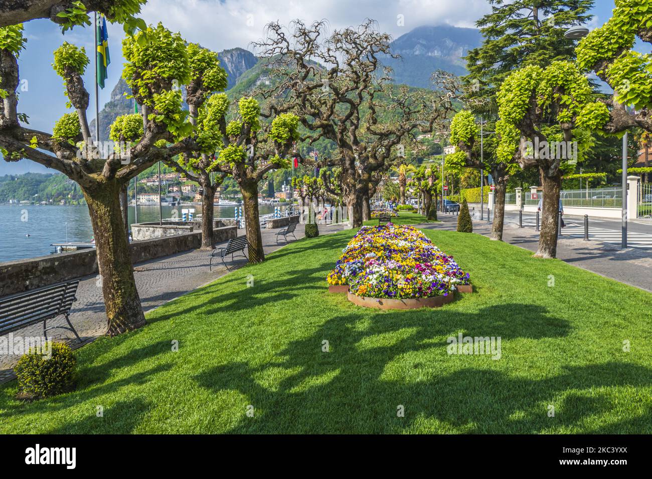 The beautiful promenade on the lakeside of Menaggio with flower beds ...