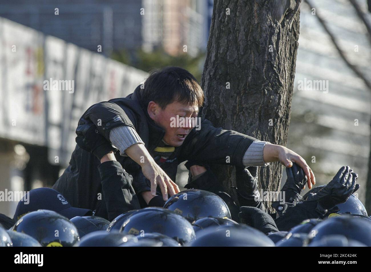 South Korean farmer protester arrest to riot police during an rice ...