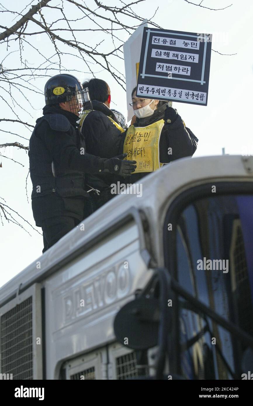 South Korean farmer protester arrest to riot police during an rice ...