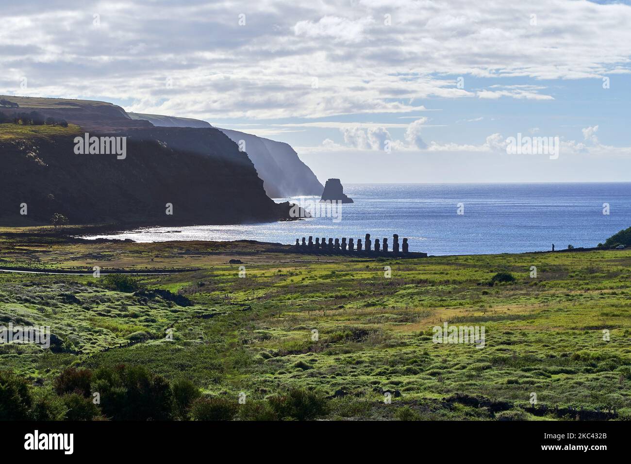 The Moai stone monolithic statues in a row surrounded by grass and ...