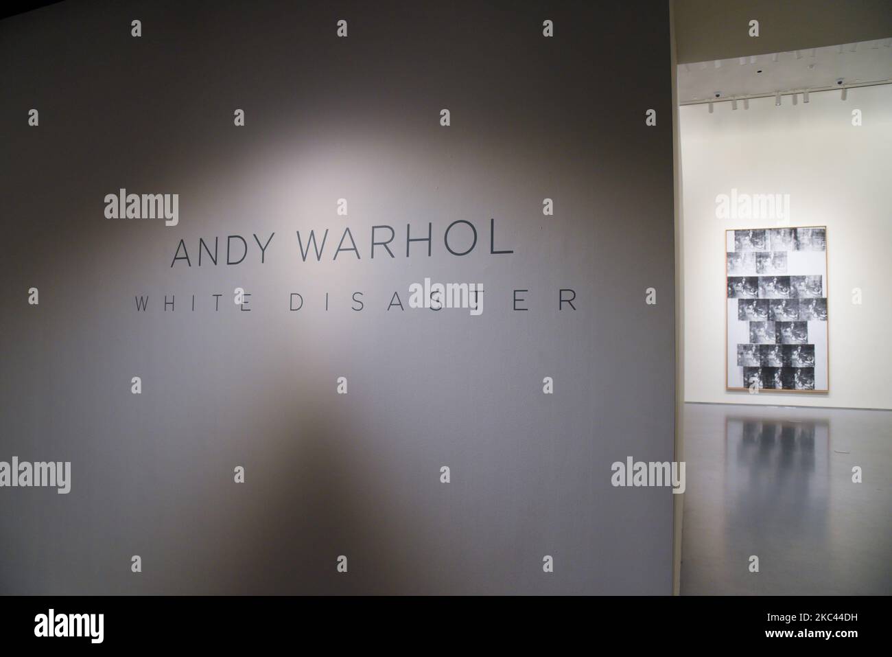 Silver Car Crash Warhol