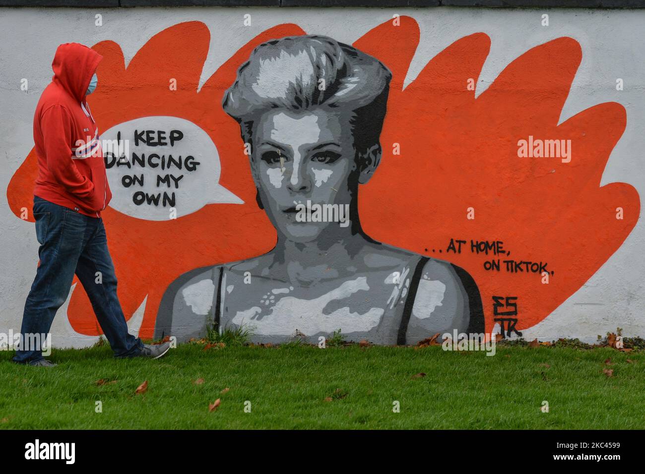 A mural of Robin Miriam Carlsson, known as Robyn, by the Irish artist ...